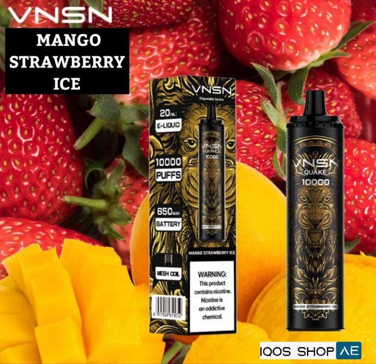 BEST VNSN QUAKE 10000 PUFFS DISPOSABLE VAPE