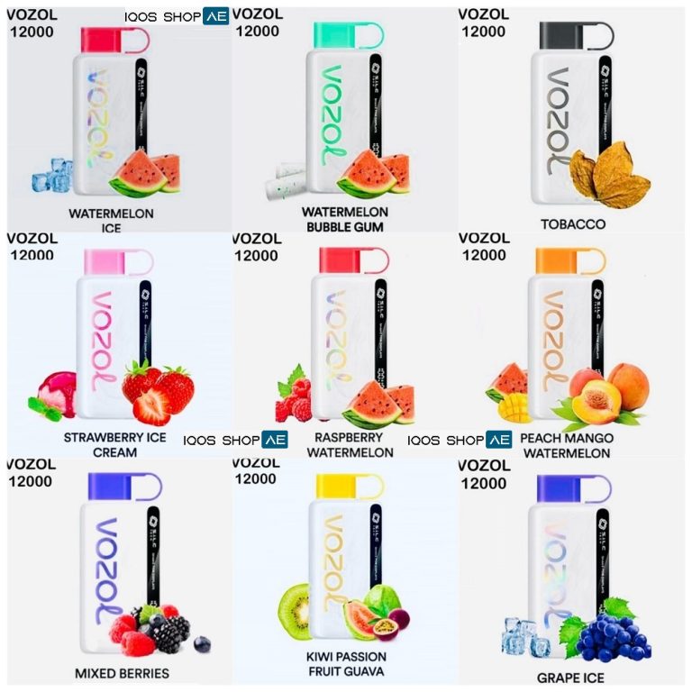 BEST VOZOL GEAR 10000 PUFFS DISPOSABLE VAPE DUBAI