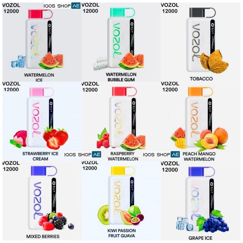 BEST VOZOL GEAR 10000 PUFFS DISPOSABLE VAPE DUBAI